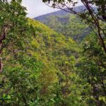 Basseterre Rainforest Hike - The Itinerary in Detail
