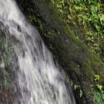 Basseterre Rainforest Hike - Detailed Itinerary Breakdown