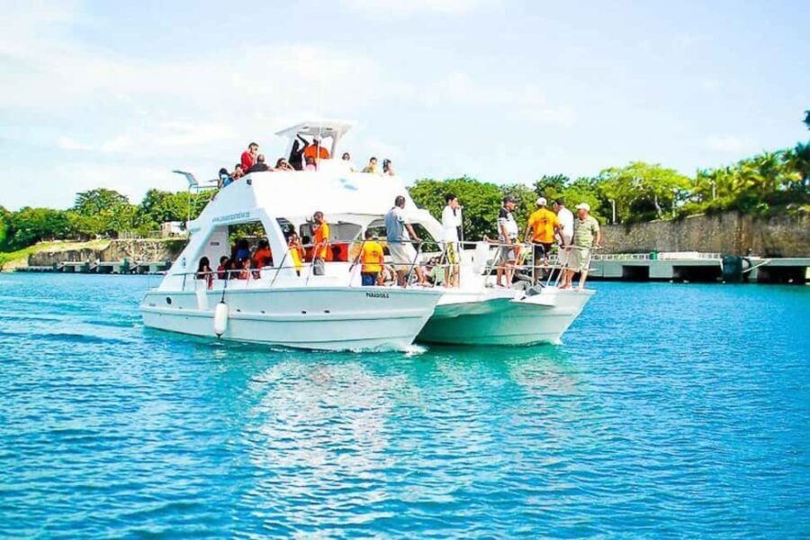 Bávaro: Catalina Island Diving Tour with BBQ & Drinks - Evaluating the Value