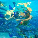Bayahibe: Catalina Island Snorkeling and Diving Tour - Who Will Enjoy This Tour?