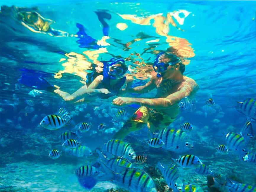 Bayahibe: Catalina Island Snorkeling and Diving Tour - Who Will Enjoy This Tour?