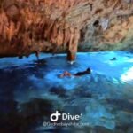 Bayahibe - Cenotes Scuba Diving - Godive Bayahibe - An Introduction to the Cenote Experience