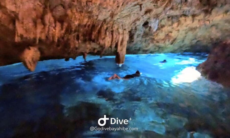 Bayahibe - Cenotes Scuba Diving - Godive Bayahibe - An Introduction to the Cenote Experience
