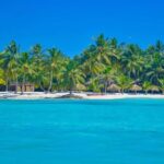 Bayahibe: Full-Day Saona Island Excursion - Transportation and Duration