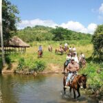 Bayahíbe Horseback Riding & River swimmig - What You Can Expect from the Itinerary