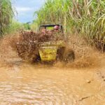 Bayahibe: Jungle Off-Road Buggy Adventure - The Practical Side: Logistics and Value