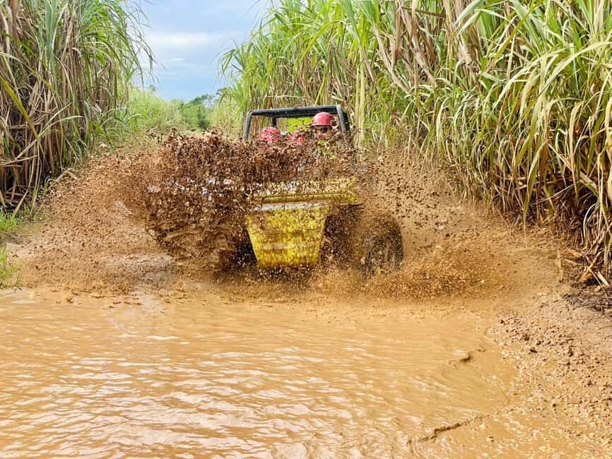 Bayahibe: Jungle Off-Road Buggy Adventure - The Practical Side: Logistics and Value