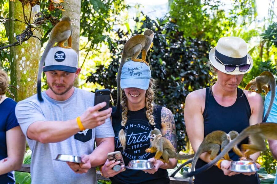 Bayahibe/La Romana: 4x4 Buggy and Monkeyland Tour - What Do the Reviews Say?