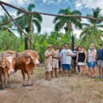 Bayahibe La Romana Discovery Full Day Tour - Who Should Consider This Tour?