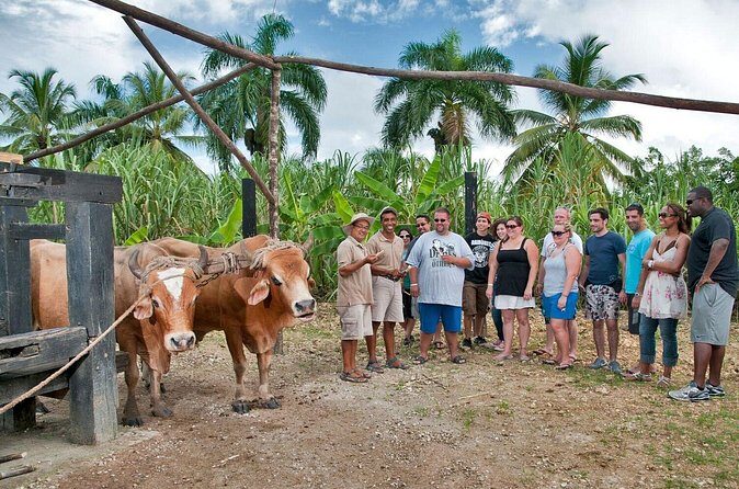 Bayahibe La Romana Discovery Full Day Tour - Who Should Consider This Tour?