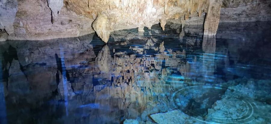 Bayahibe: National Park Jungle Walk & Snorkeling in Cenotes - Why This Tour Works Well