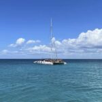 Bayahibe: Saona Island Boat Tour Small Group - The Itinerary in Detail
