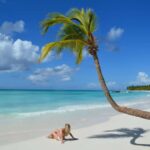 Bayahibe: Saona Island Tour with Lunch and Boat Ride - In-Depth: Breakdown of the Itinerary