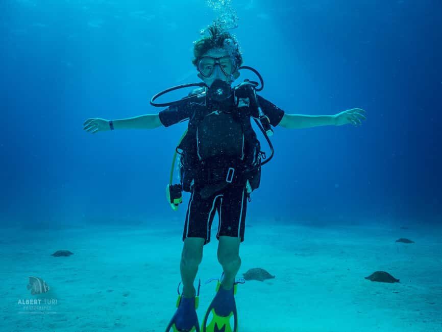 Bayhibe: Private 2 Tank Scuba Dive tour in the National Park - The Itinerary in Detail