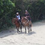 Beach horse back riding with countryside - Key Points Before You Go