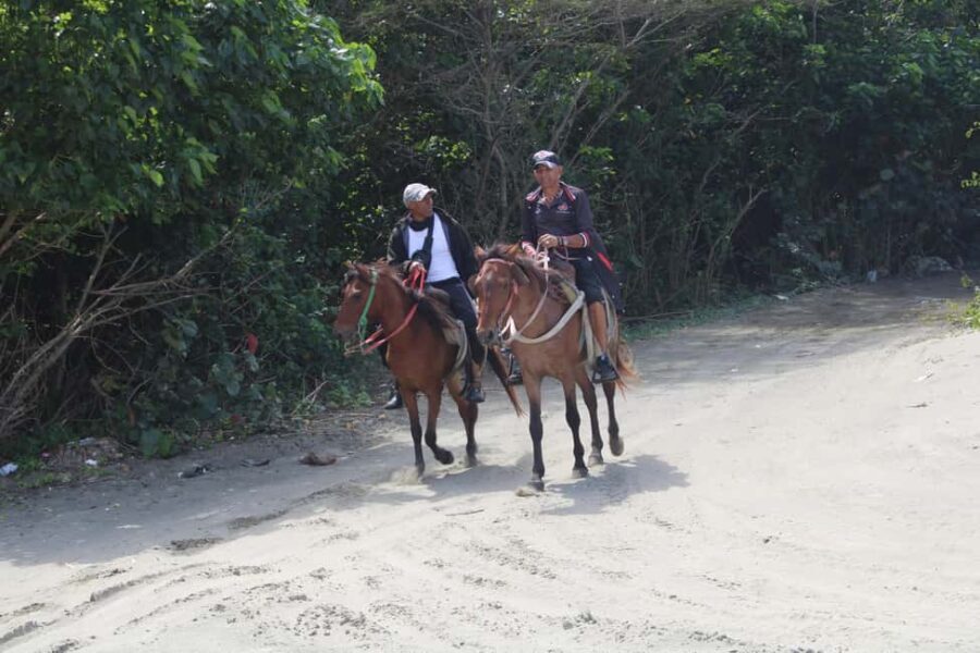 Beach horse back riding with countryside - Key Points Before You Go