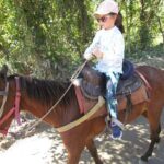 Beach Horseback Ride Tour in Puerto Plata - Scenic & Fun for All - Authentic Experiences and Traveler Feedback