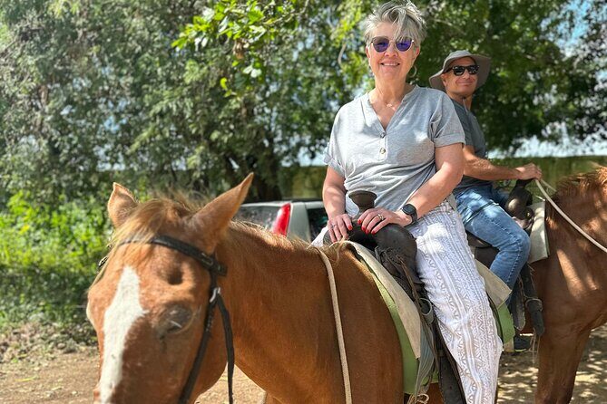 Beach Horseback Riding Adventure in Punta Cana - Who Should Consider This Experience?