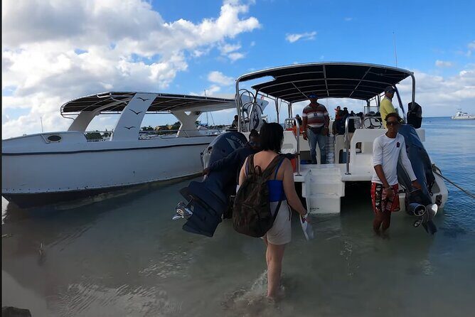 Beautiful Saona Island - What Travelers Are Saying (Based on Reviews)