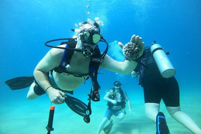 Beginner Scuba Diving Guided Tour - No Experience Required - What Makes This Tour Stand Out?