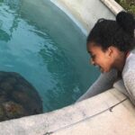 Bermuda Gems and Private Resort Beach Day Experience - Analyzing the Price and Overall Value