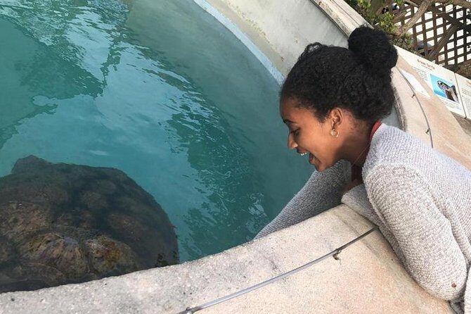 Bermuda Gems and Private Resort Beach Day Experience - Analyzing the Price and Overall Value