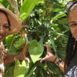 Best Jeep Tour of ST.Thomas Virgin Islands - What to Expect in Terms of Logistics