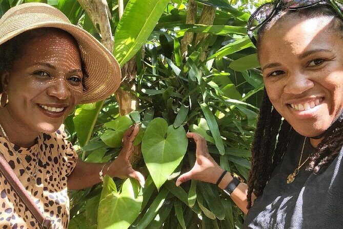 Best Jeep Tour of ST.Thomas Virgin Islands - What to Expect in Terms of Logistics