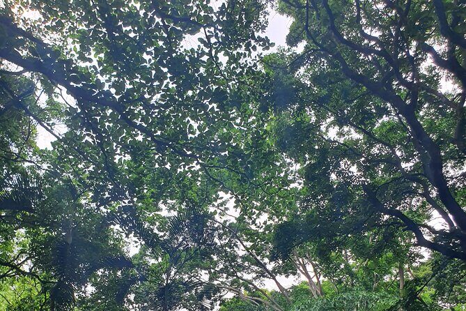 Best of Grenada Falls, Lake, Rum and Cocoa Experience - Why This Tour Offers Great Value