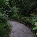 Best Soufiere Round the Island Tour - Why Choose This Tour?