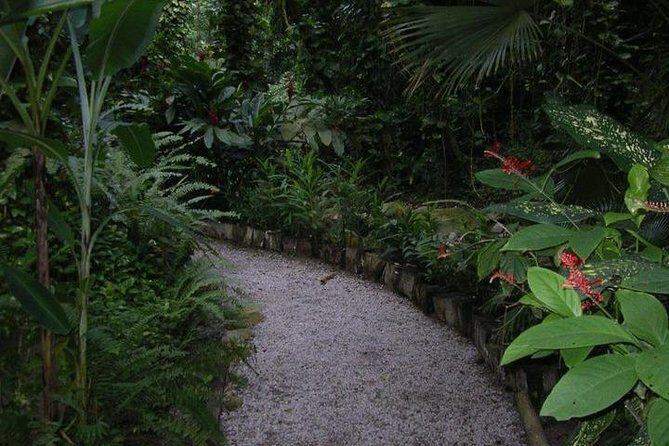 Best Soufiere Round the Island Tour - Why Choose This Tour?