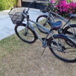 Bicycle Rental in Grand Turk - Why Choose a Bicycle Rental in Grand Turk?