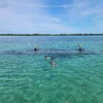 Bimini: 4-Stop Snorkeling Adventure - The Stops in Detail