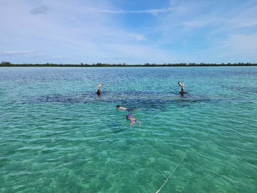Bimini: 4-Stop Snorkeling Adventure - The Stops in Detail