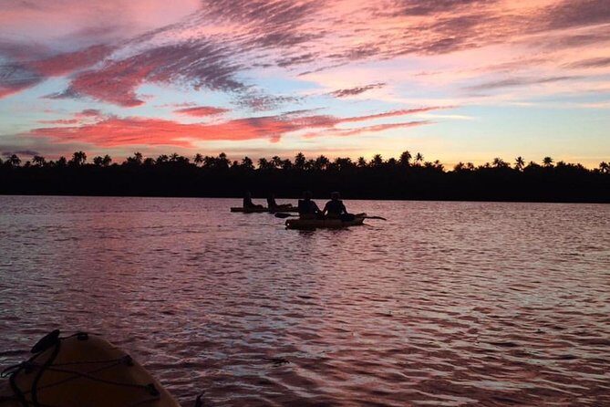 Bio Bay Kayak Tour in Fajardo - What Makes This Tour Stand Out