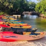 Bio Bay Night Kayak Tour in Fajardo - The Experience in Practice: Honest Insights from Travelers