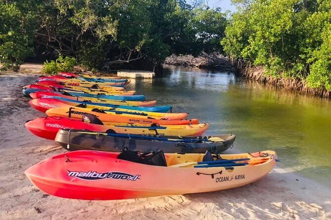 Bio Bay Night Kayak Tour in Fajardo - The Experience in Practice: Honest Insights from Travelers