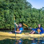 Bio Bay Night Kayak Tour with Transport from San Juan - The Mangrove Forest Paddle: A Nature Lover’s Dream