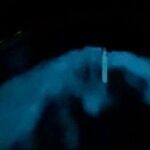 Bio Bay Tour Vieques  Full Clear Canoes Experience - Practical Details and Tips