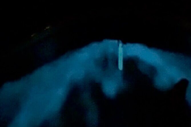 Bio Bay Tour Vieques  Full Clear Canoes Experience - Practical Details and Tips