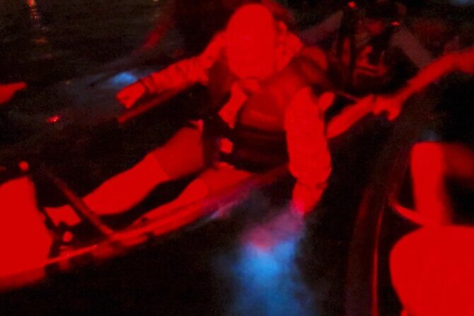 Biobay Vieques Tour Kayak Night Tour - What to Expect on the Tour