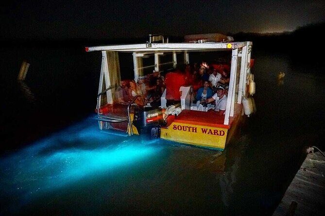 Bioluminescence Lagoon Tour from Montego Bay with Pick Up - The Value of This Tour