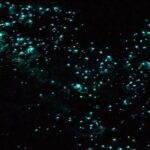Bioluminescence Snorkel Boat Tour to Klein Bonaire - The Sum Up: Who Will Love This Tour?