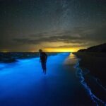 Bioluminescent Bay Adventure in Grand Cayman - What Travelers Say: Authentic Perspectives