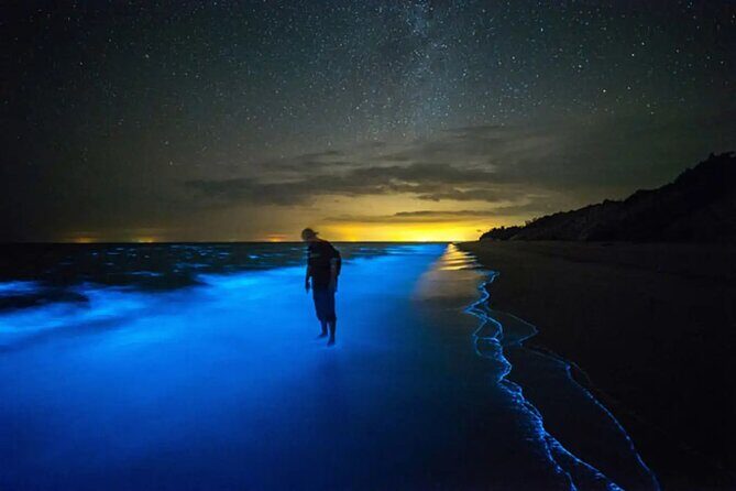 Bioluminescent Bay Adventure in Grand Cayman - What Travelers Say: Authentic Perspectives