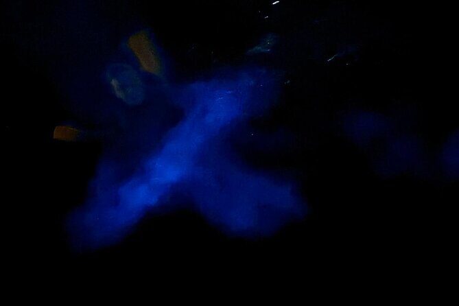 Bioluminescent Bay Boat Charter in Grand Cayman - Who Should Consider This Tour?