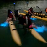 Bioluminescent Bay Chiliboats Waterbike Tour in La Parguera - The Sum Up: Who Will Love This Tour?