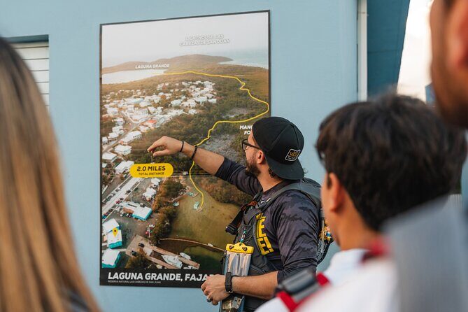 Bioluminescent Bay Night Kayaking Adventure in Puerto Rico - The Value and Cost