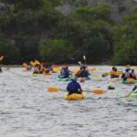 Bioluminescent Bay Night Kayaking, Fajardo - The Practicalities: Price, Duration, and Booking
