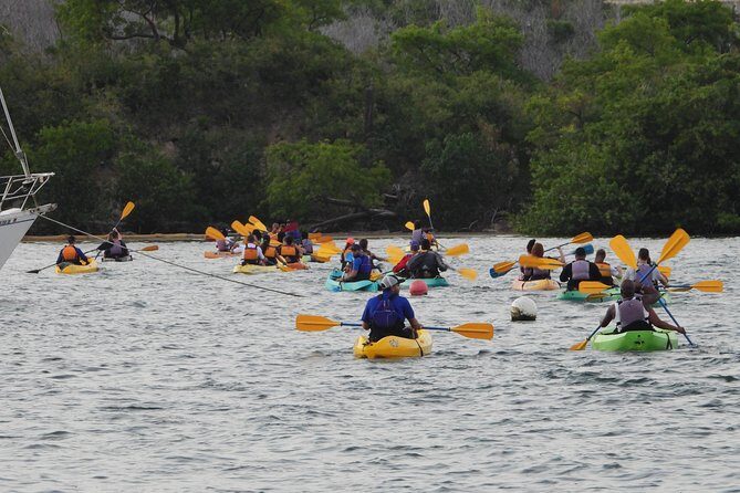 Bioluminescent Bay Night Kayaking, Fajardo - The Practicalities: Price, Duration, and Booking
